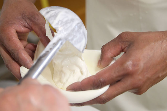 Cow's milk or buffalo milk burrata Dairy Aversano